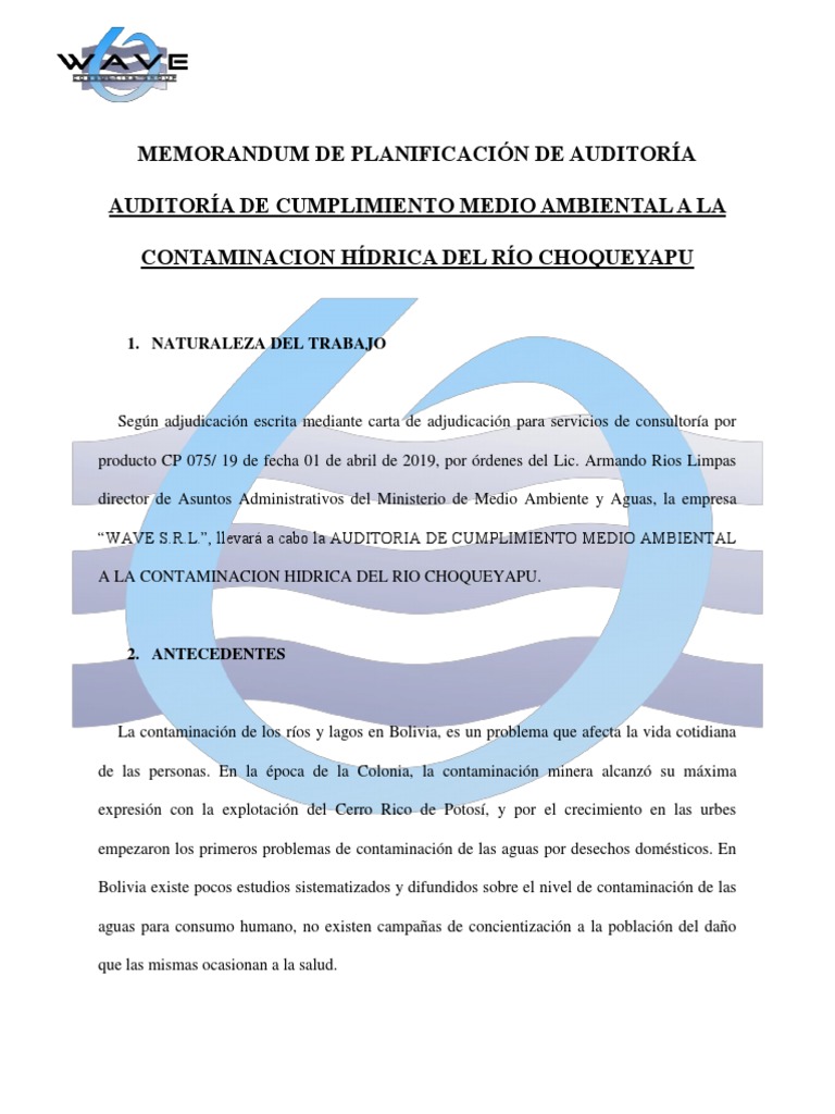 MPA Example | PDF | La contaminación del agua | Auditoría
