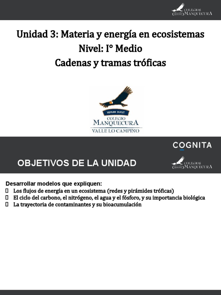 Flujos de Energía en Tramas Tróficas | PDF | Red alimentaria | Ecología