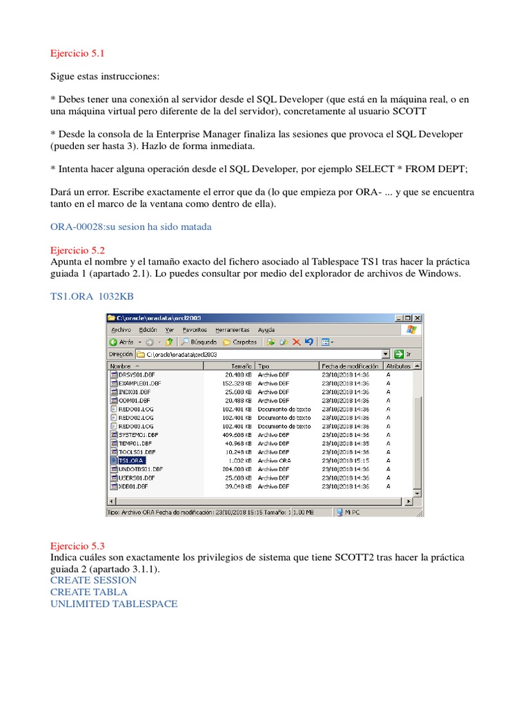 Ejercicios Oracle SQL Developer | PDF