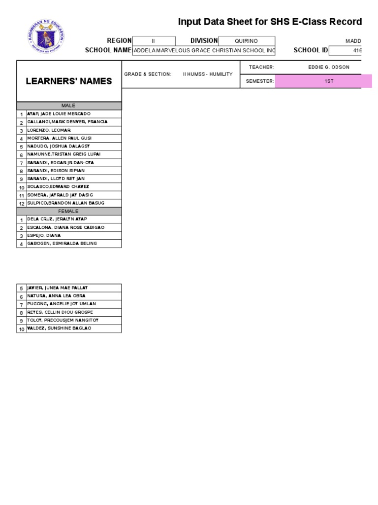 Learners' Names: Input Data Sheet For SHS E-Class Record | PDF