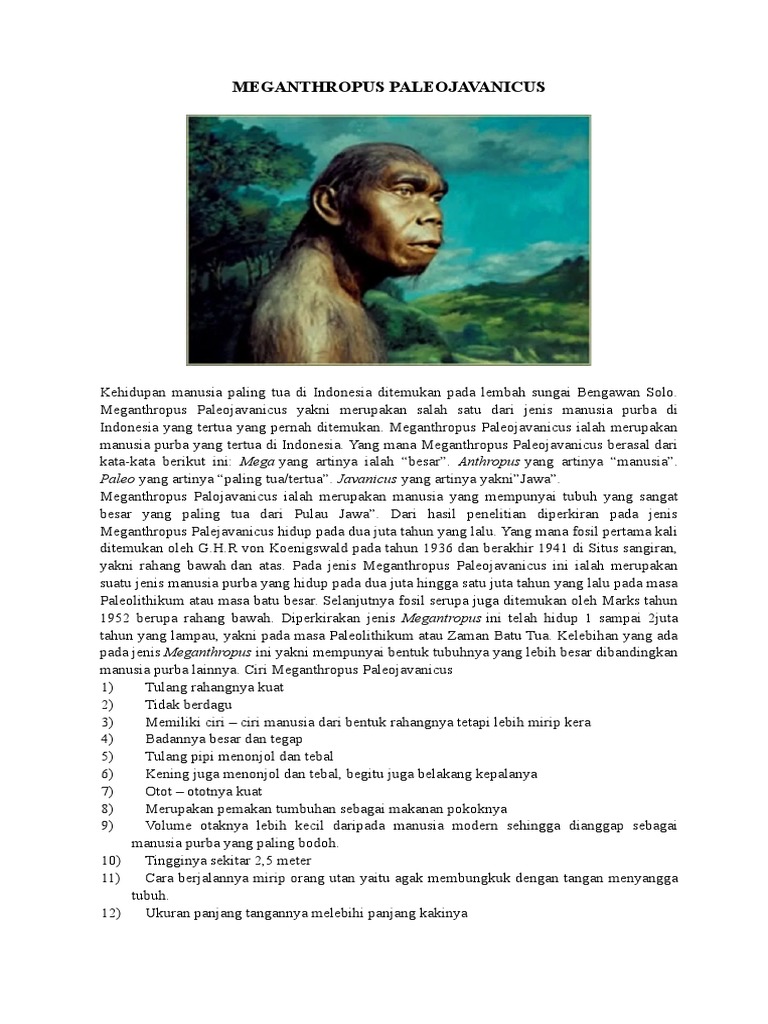 Meganthropus Paleojavanicus | PDF | Ilmu Sosial | Dewasa Muda