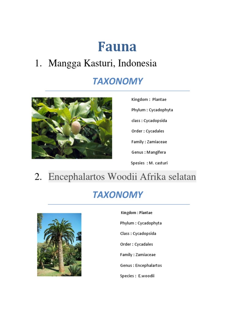 A Comprehensive Collection of Plant Taxonomy Across Kingdoms, Phyla ...