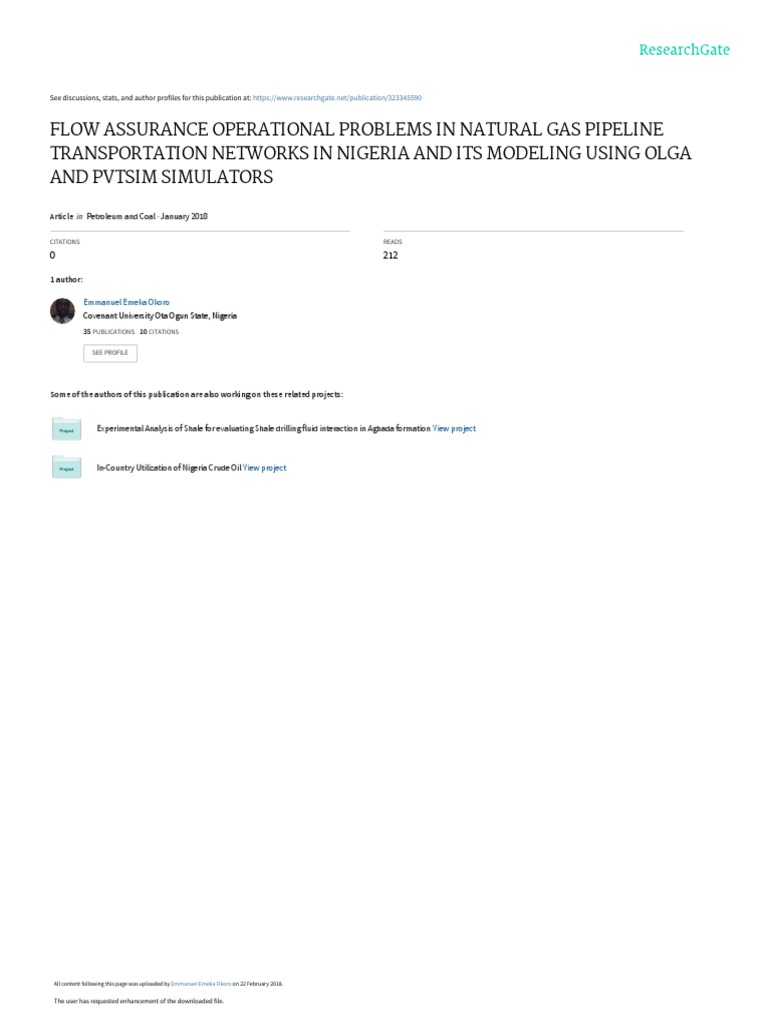 Modeling Flow Assurance Operational Problems in Natural Gas Pipelines ...