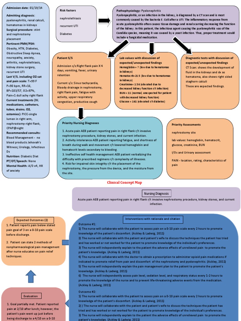 Clinical Concept Map | PDF | Urinary Tract Infection | Medical Specialties