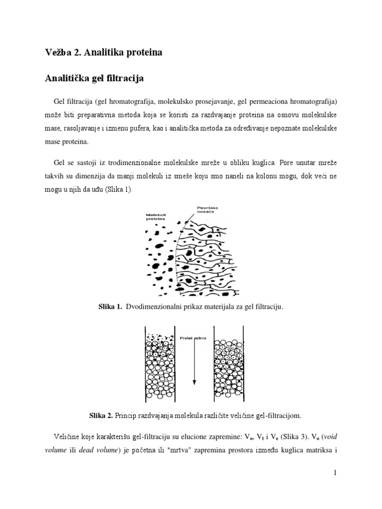 Vezba 2 Biohemija Proteini | PDF