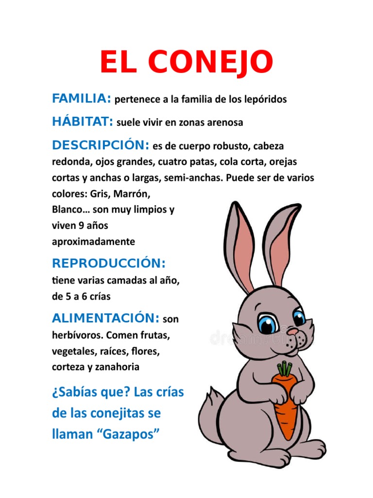 El Conejo Pdf