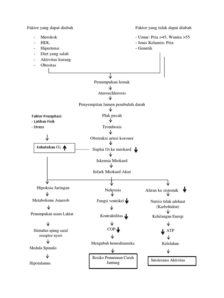 Pathway Kardiovaskular Dan Respirasi | PDF