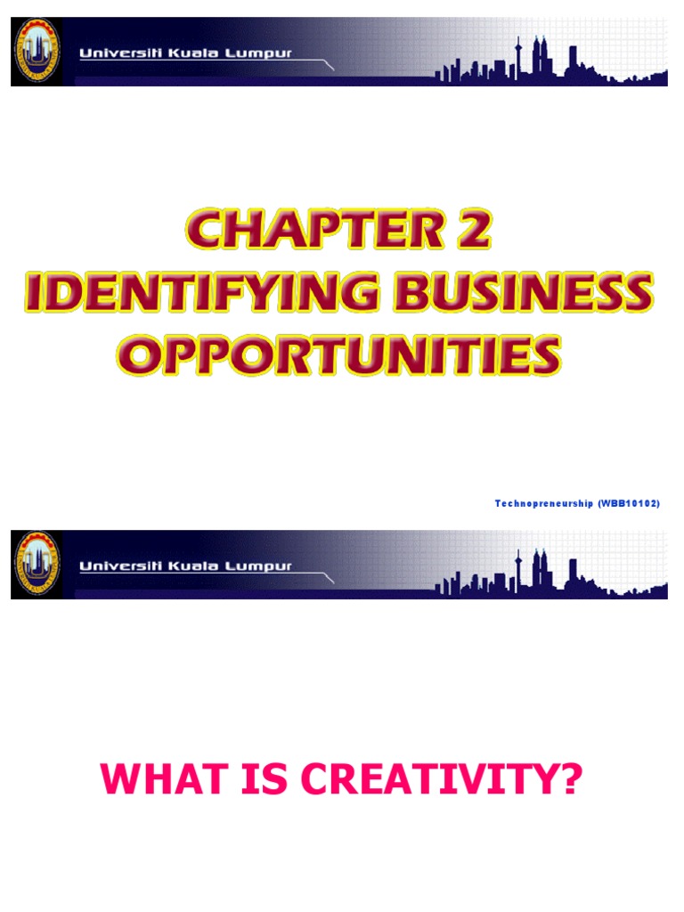 Business Opportunity Identification | PDF | Financial Risk ...