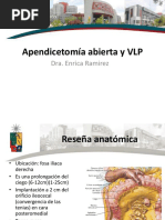Incisión Rocky Davis | PDF | Medicina CLINICA | Anatomía