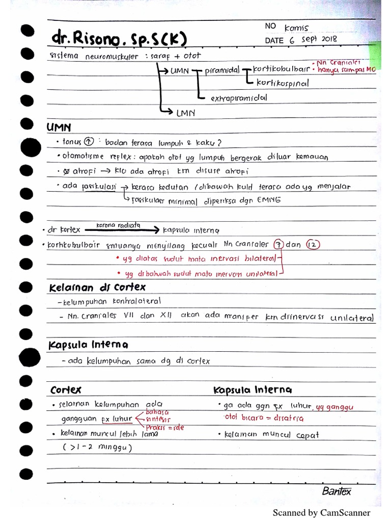 A document consisting entirely of the repeated text "Scanned by CamScanner | PDF