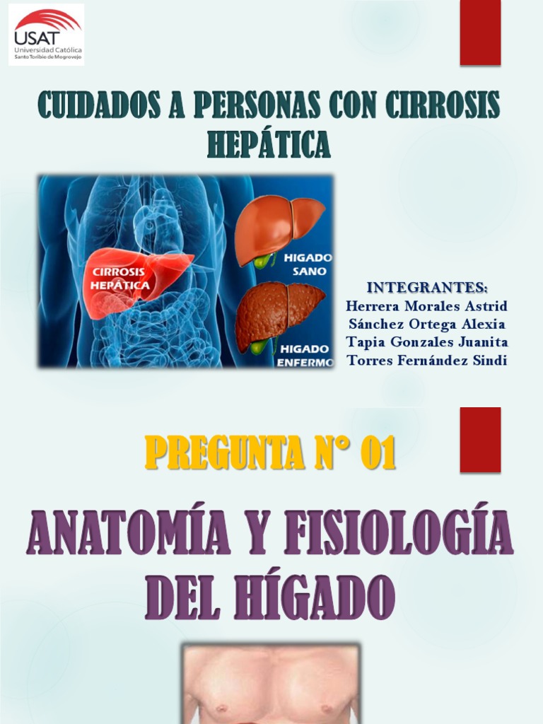 Anatomía y Fisiología del Hígado | PDF