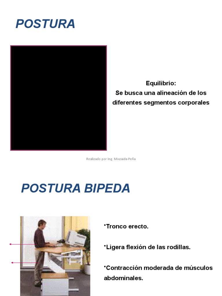 Definición de Postura Bípeda | PDF