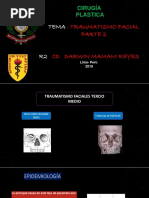 Region Cigomatica | PDF | Anatomia animal | Sistema esquelético