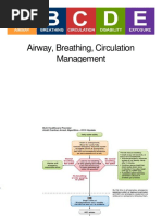 Abcde: Observations & Assessments | PDF