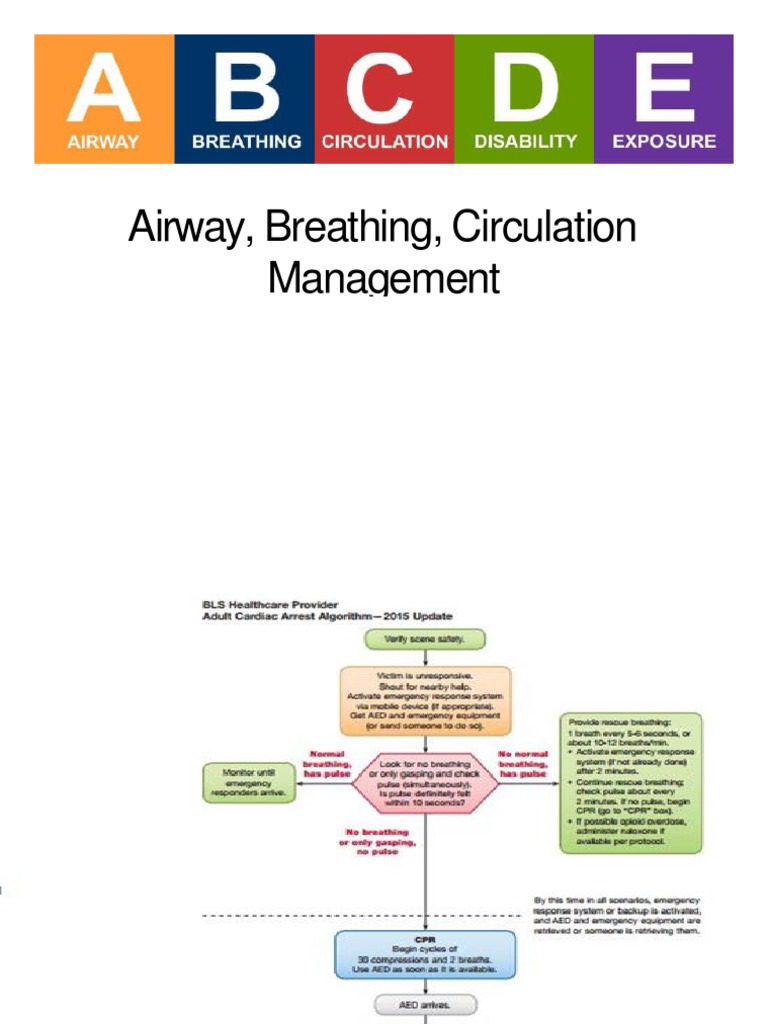 Primary Survey ABCDE-1 | PDF | Respiratory Tract | Thorax