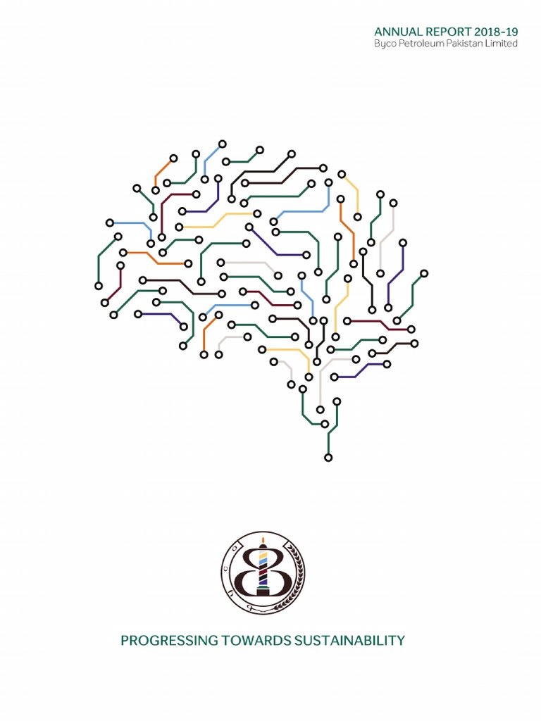 Byco Annual Report 2019 | PDF | Revenue | Business Ethics