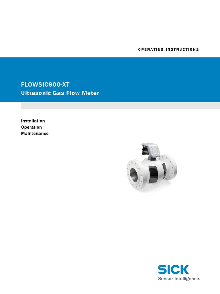 Flowsic600 XT PDF | PDF | Hazards | Gases