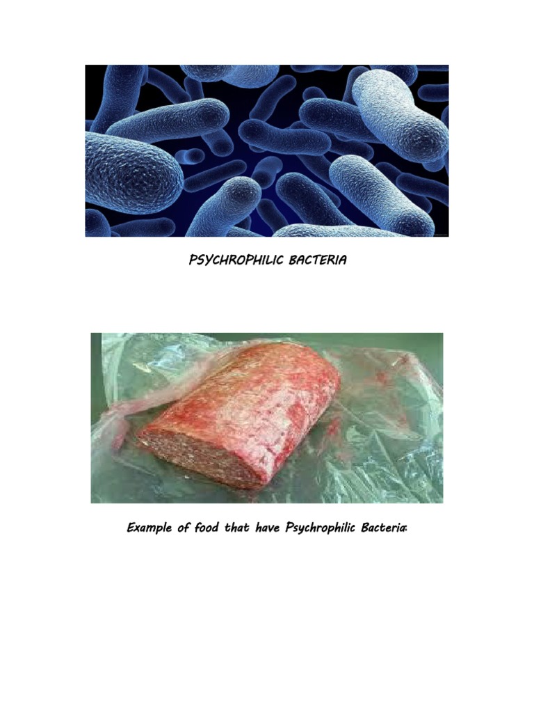 An Exploration of Psychrophilic, Mesophilic, and Thermophilic Bacteria ...