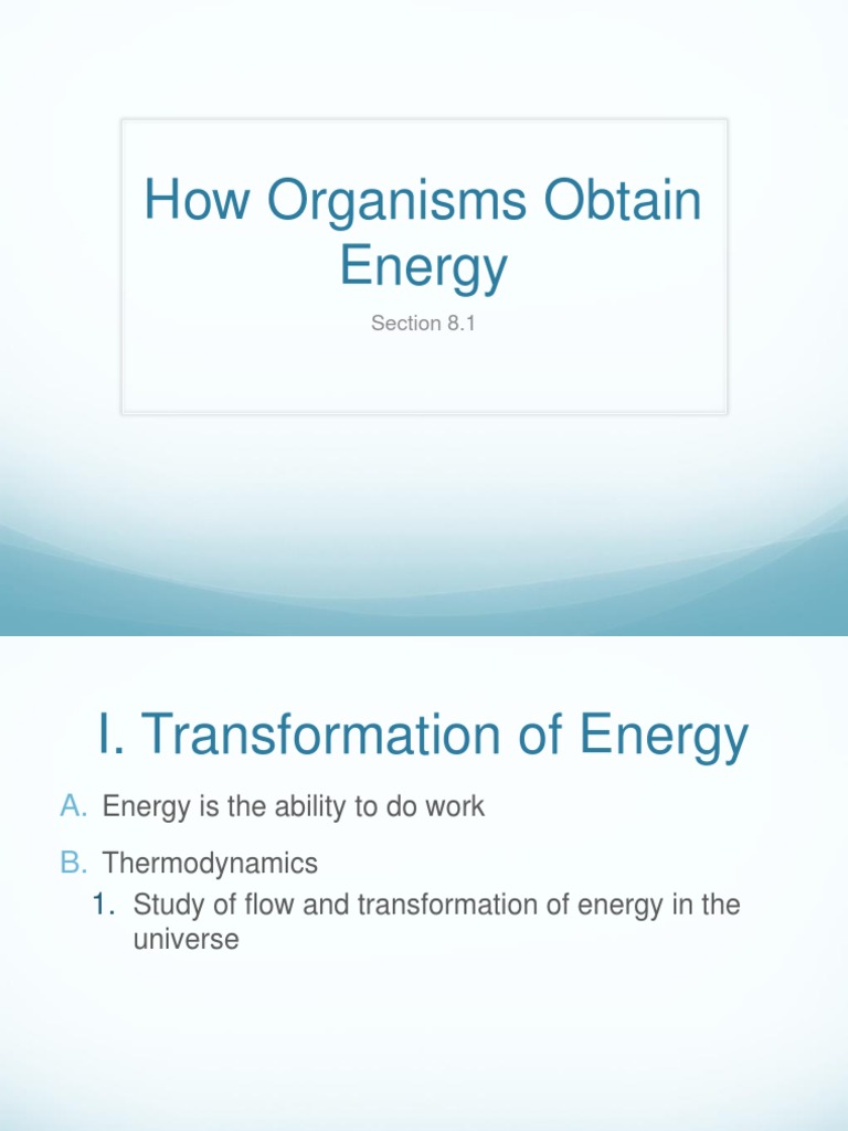 How Organisms Obtain Energy | PDF | Wellness | Science & Mathematics