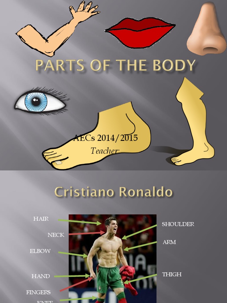 Parts of The Body | PDF