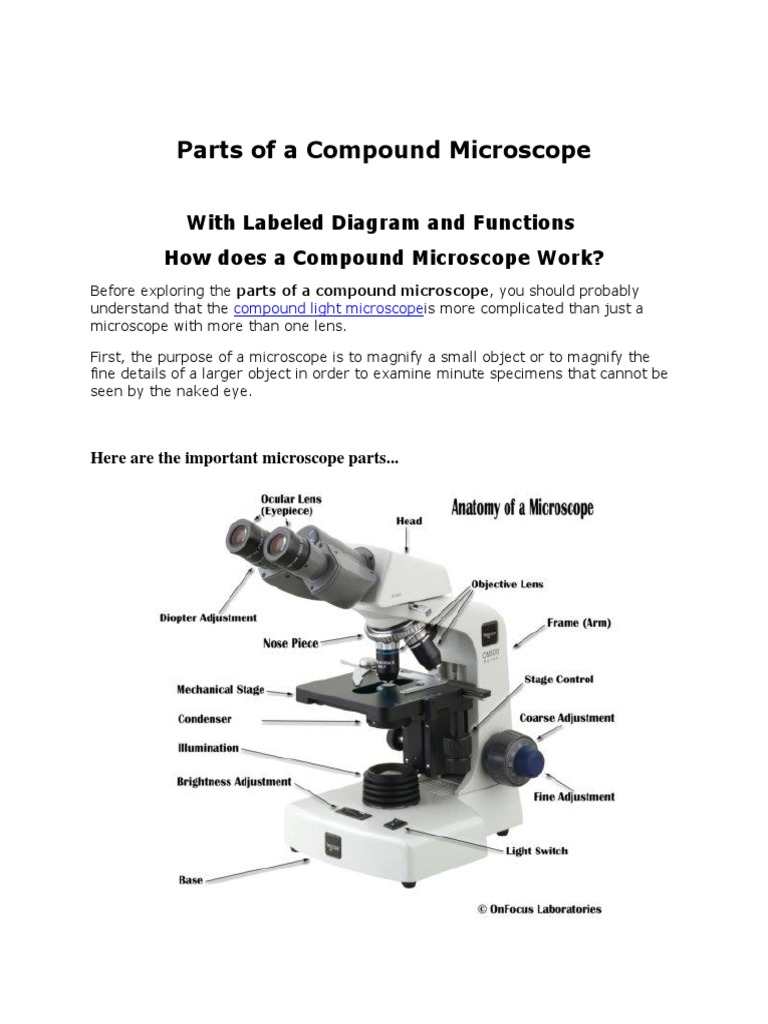 Compound Microscope Guide | PDF | Lens (Optics) | Natural Philosophy