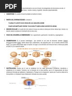 Embriologia de Los Bovinos | PDF | Epitelio | Biología del desarrollo
