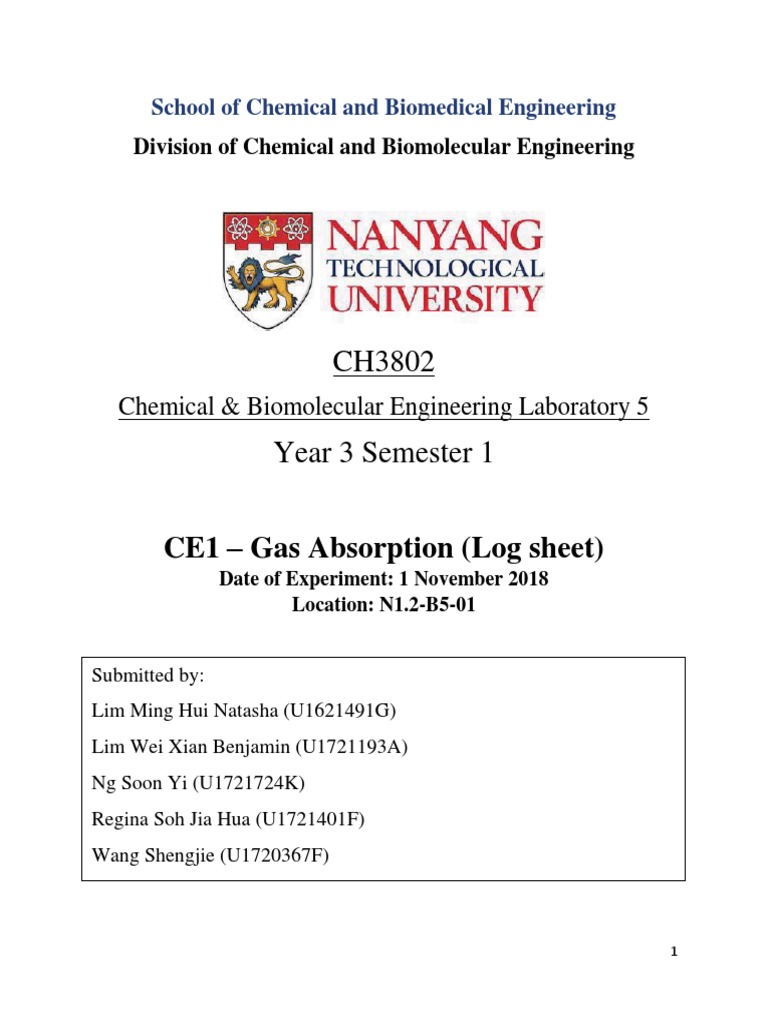 CE1 - Gas Absorption | PDF | Solubility | Flow Measurement