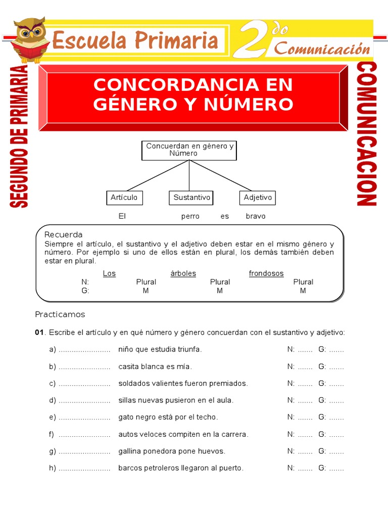 Concordancia de Género y Número | PDF | Adjetivo | Sustantivo
