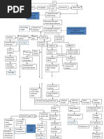 Clinical Pathway Syok Sepsis | PDF