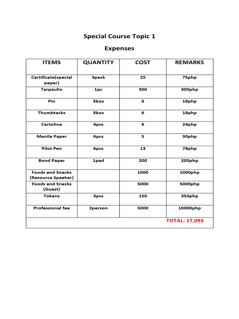 Special Course Topic 1 Expenses: Items Quantity Cost Remarks | PDF
