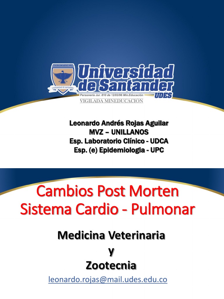 4.cambios Post Mortem Sistemas II | PDF | Corazón | Inflamación