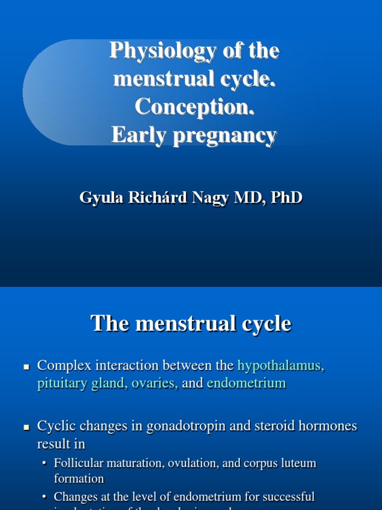 Periconceptional Period PDF | PDF | Luteinizing Hormone | Menstrual Cycle