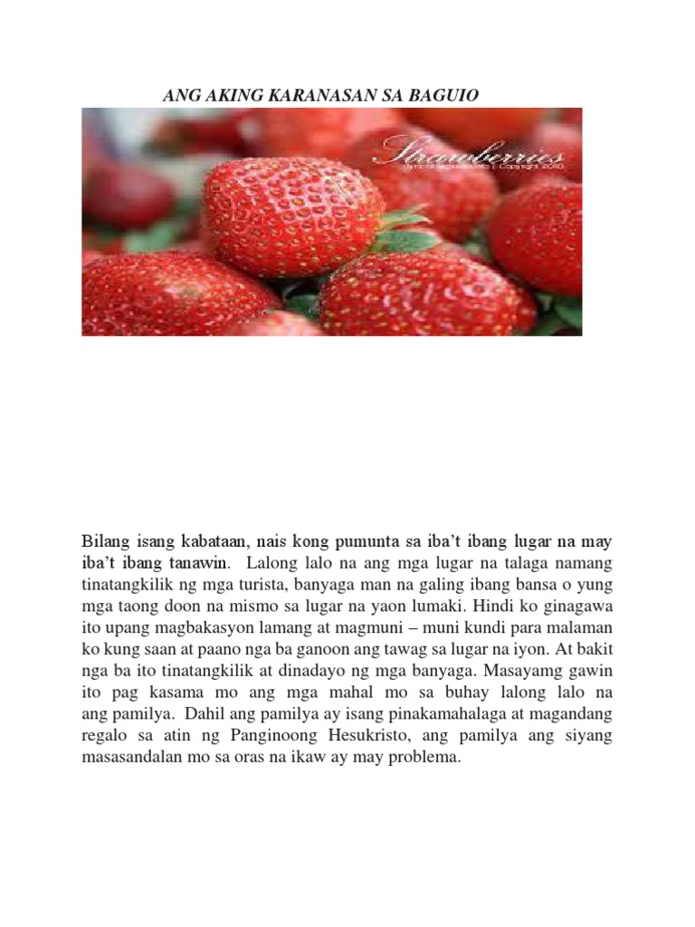 Ang Aking Karanasan Sa Baguio | PDF