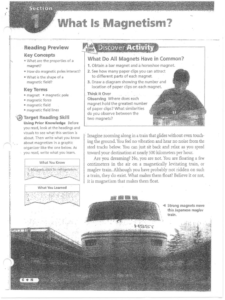 Magnetism Chapter and Workbook | PDF