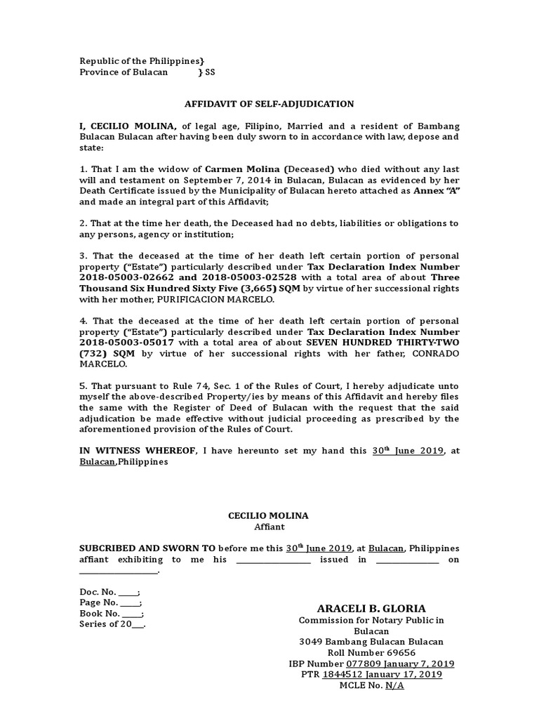 Affidavit of Self Adjudication | PDF | Affidavit | Judiciaries