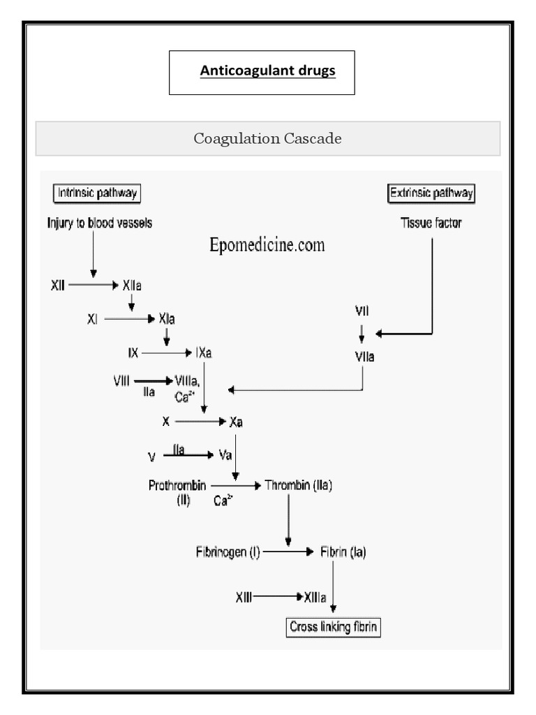 Coagulation Cascade: Anticoagulant Drugs | PDF | Coagulation | Platelet