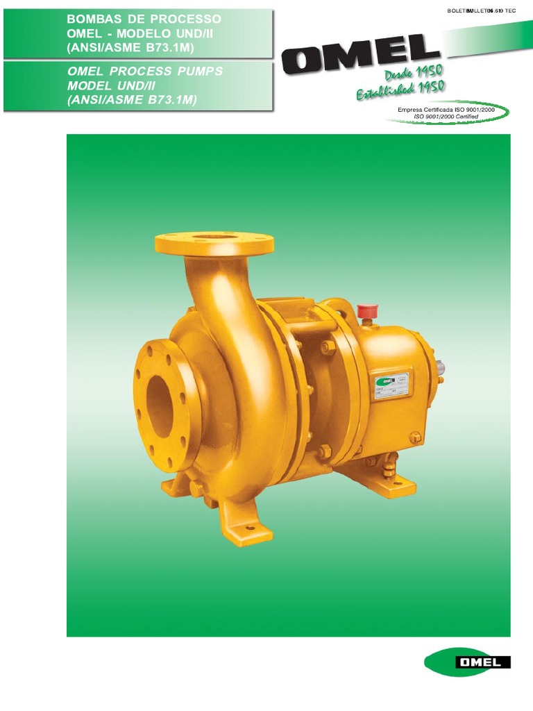 Omel Process Pumps Model Und - II (Ansi - Asme b73.1m) PDF | PDF