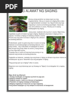 Alamat NG Saging | PDF