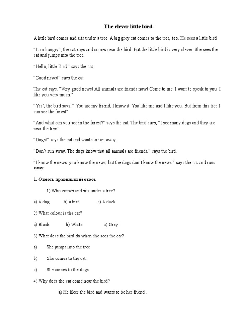 3 Class The Clever Little Bird | PDF | Nature