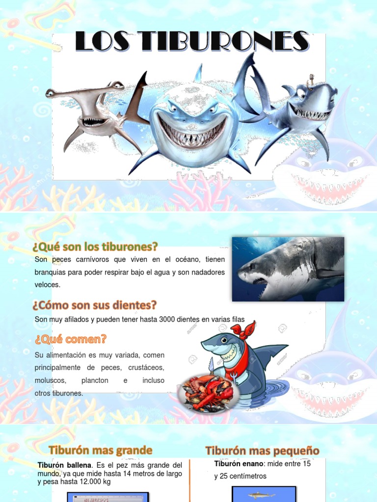 Exposicion Tiburones Para Preescolar | Tiburones | Gran tiburón blanco
