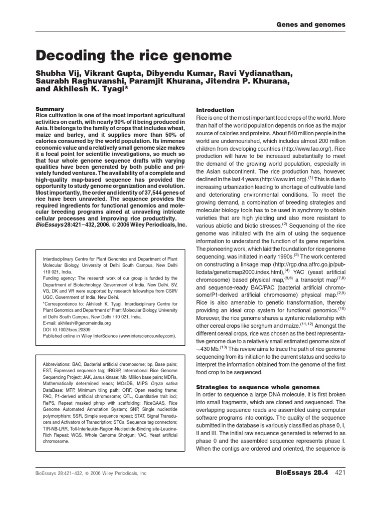 Decoding The Rice Genome PDF | PDF | Genome | Dna Sequencing