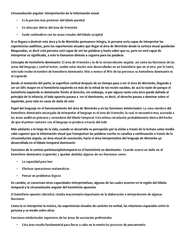 Circunvolucion Angular | PDF | Hemisferio cerebral | Lóbulo temporal