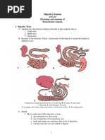 Normal Vital Signs for Common Animals | PDF | Dairy Cattle | Cattle