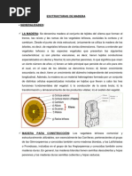 E.010 Madera DS #005-2014 PDF | PDF | Rigidez | Pandeo