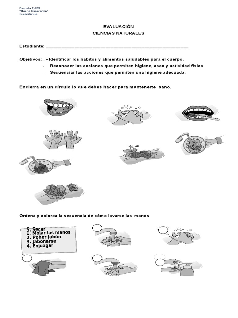 Actividades de Higiene Personal para Niños | PDF | Salud y bienestar ...