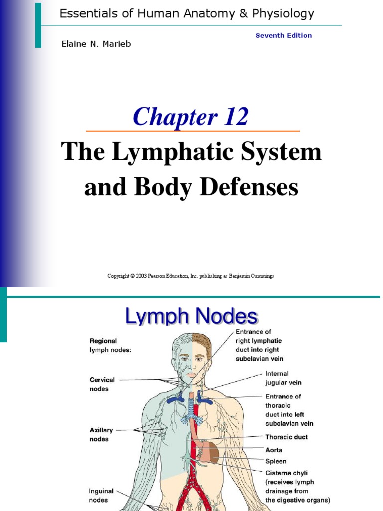 Chapter 12 Lymphatic System | PDF | Lymphatic System | Humoral Immunity