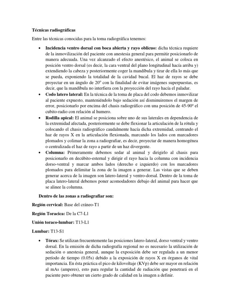Ensayo de Radiografía | PDF | Términos anatómicos de ubicación | Rayo X