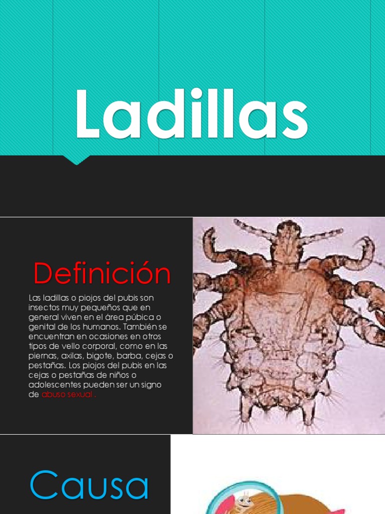 Ladillas | PDF | Relaciones personales, crianza y desarrollo personal ...