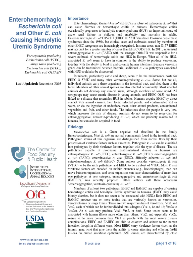 Enterohemorrhagic Escherichia Coli and Ather E. Coli Causing Hemolytic ...