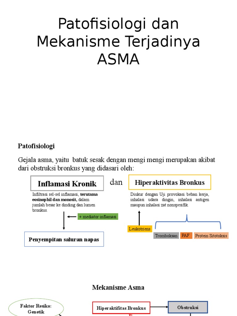 Patofisiologi dan Mekanisme Asma | PDF